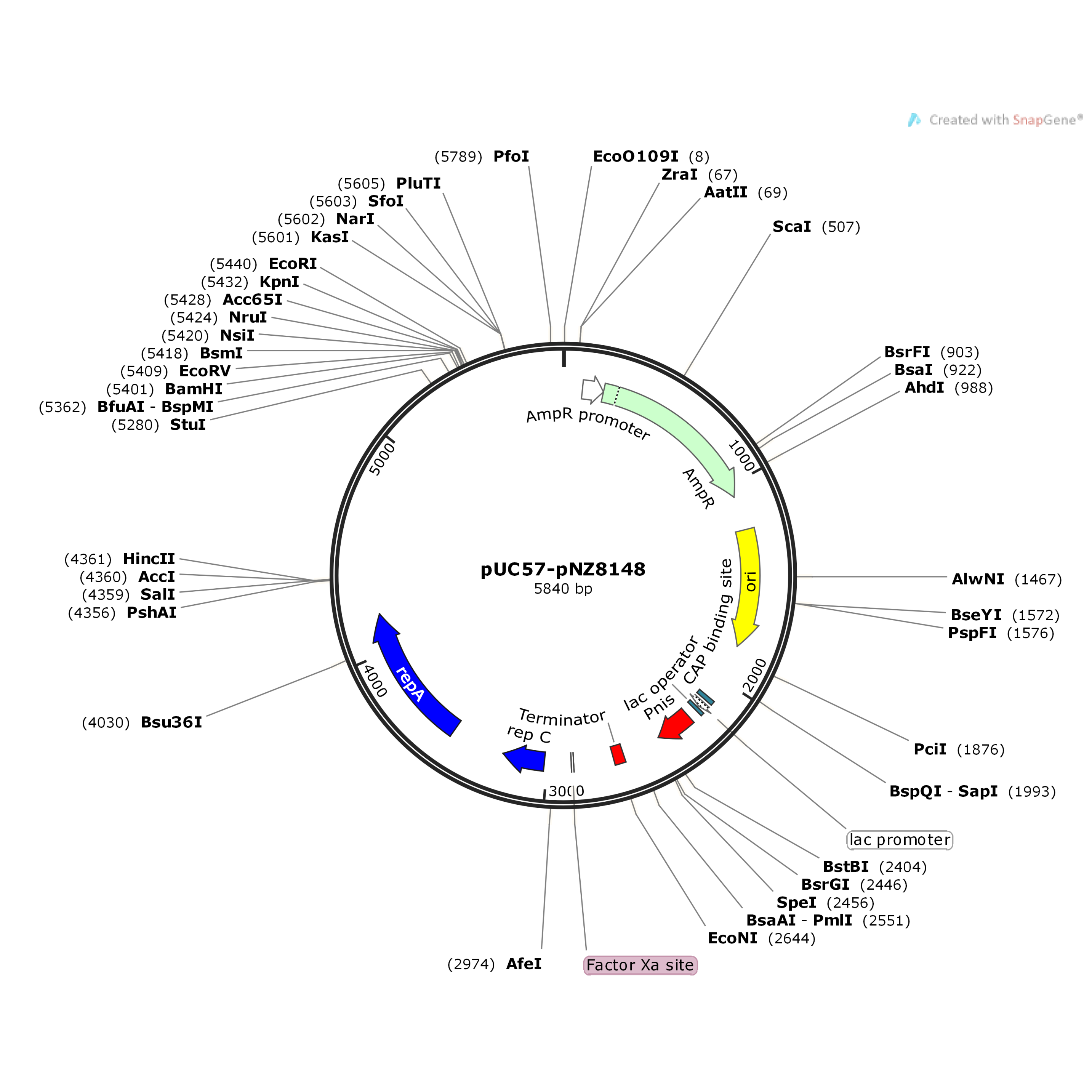 丰晖生物_【官网】买细胞购买公司_稳转株_原代细胞_病毒包装_质粒购买_载体构建_ORF基因_cDNA基因,中国细胞资源库保藏中心,丰晖生物高校科研优质生物资源平台 - Powered by ...